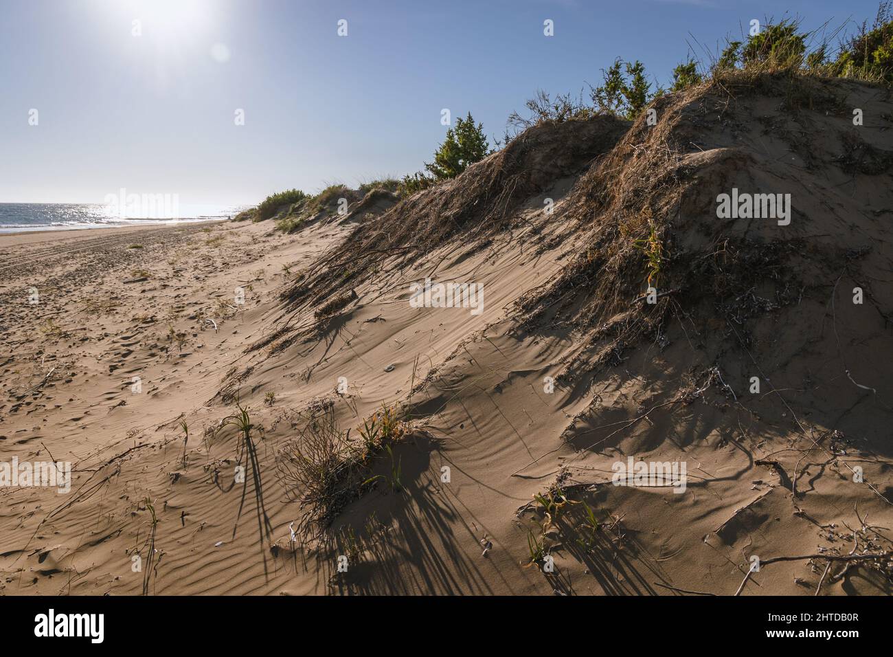 Dune on Ionian Sea Halikounas Beach over Korission coastal lagoon ...