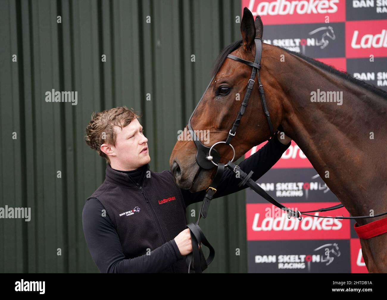 Shan Blue during a visit to Dan Skelton's yard at Lodge Hill, Alcester ...