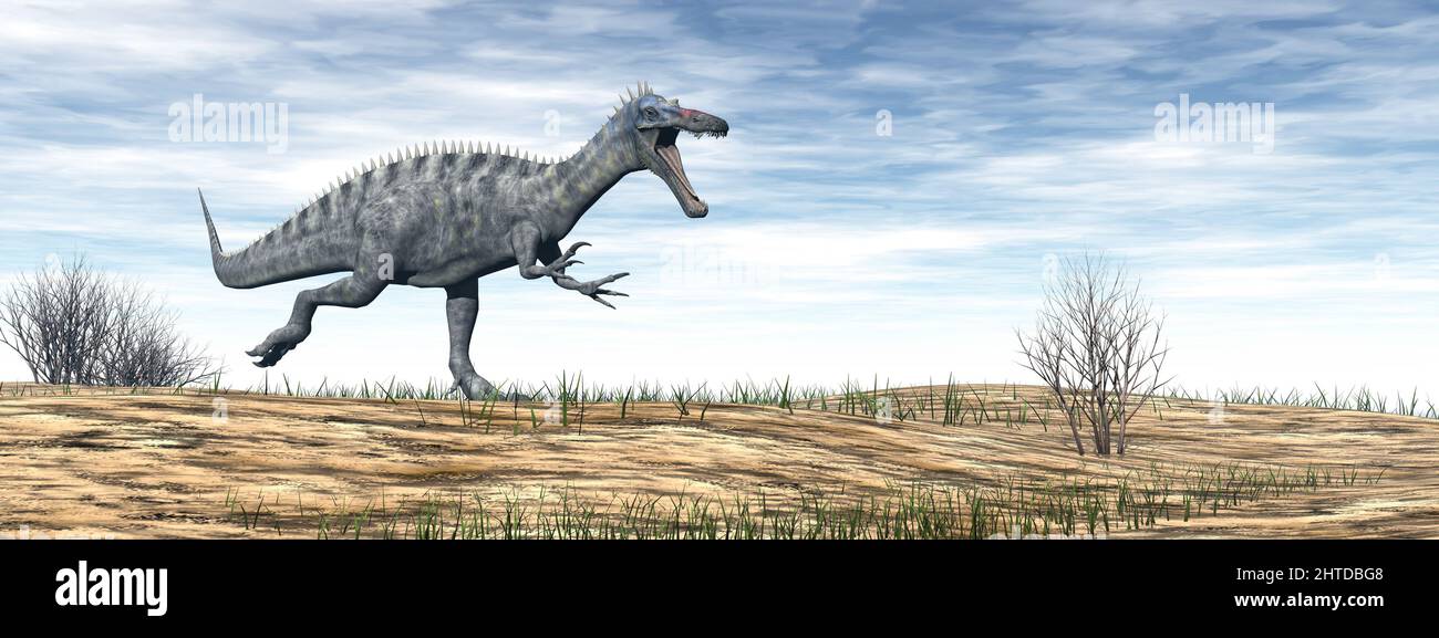 Suchomimus dinosaur in the desert - 3D render Stock Photo - Alamy