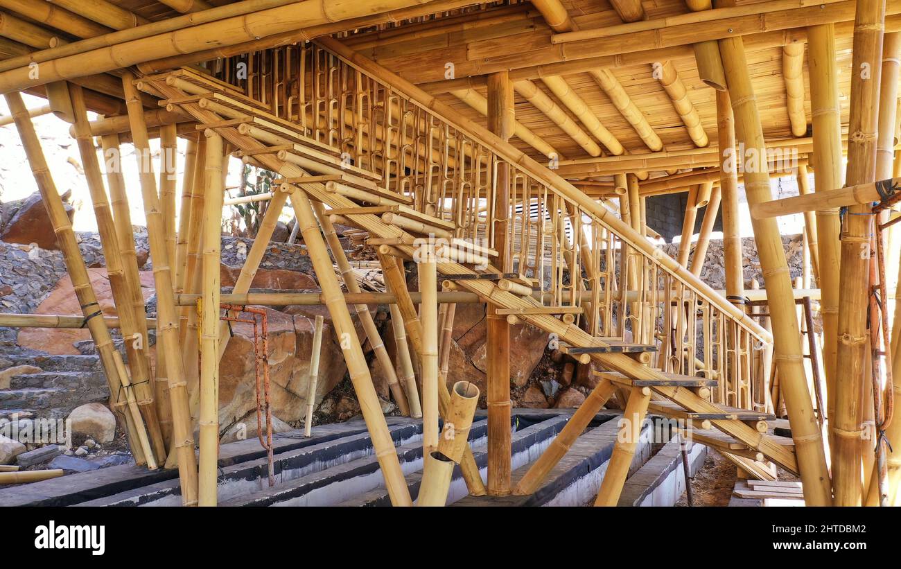 Stairs made of bamboo stems. Beautiful modern image of empty room which ...