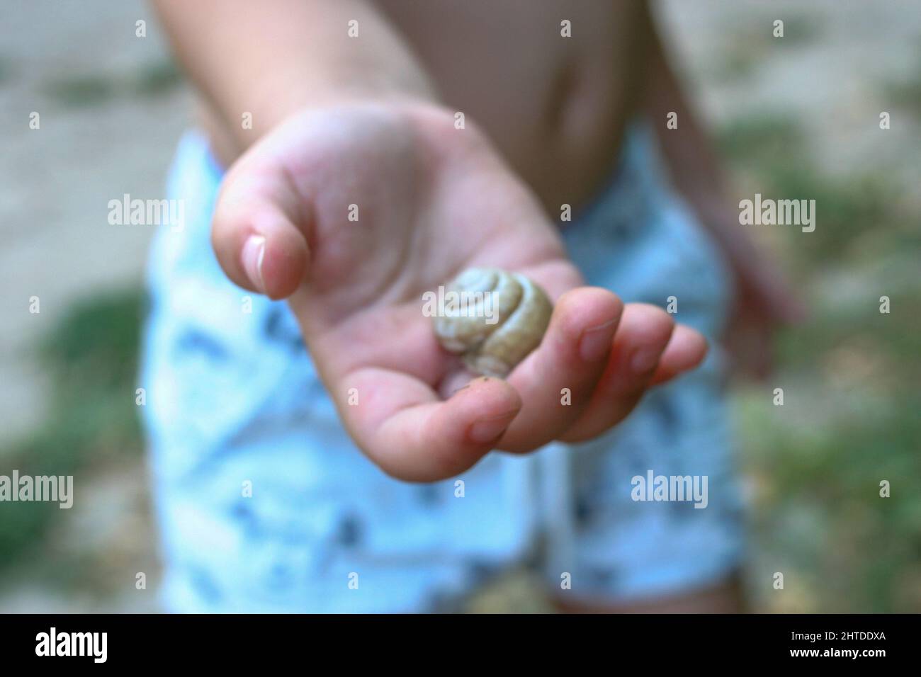 Child holding a snail hi-res stock photography and images - Alamy