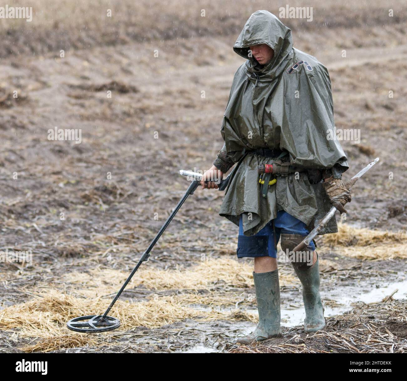 Detectorist looking for ancient metal on the fields in Denmark Stock ...