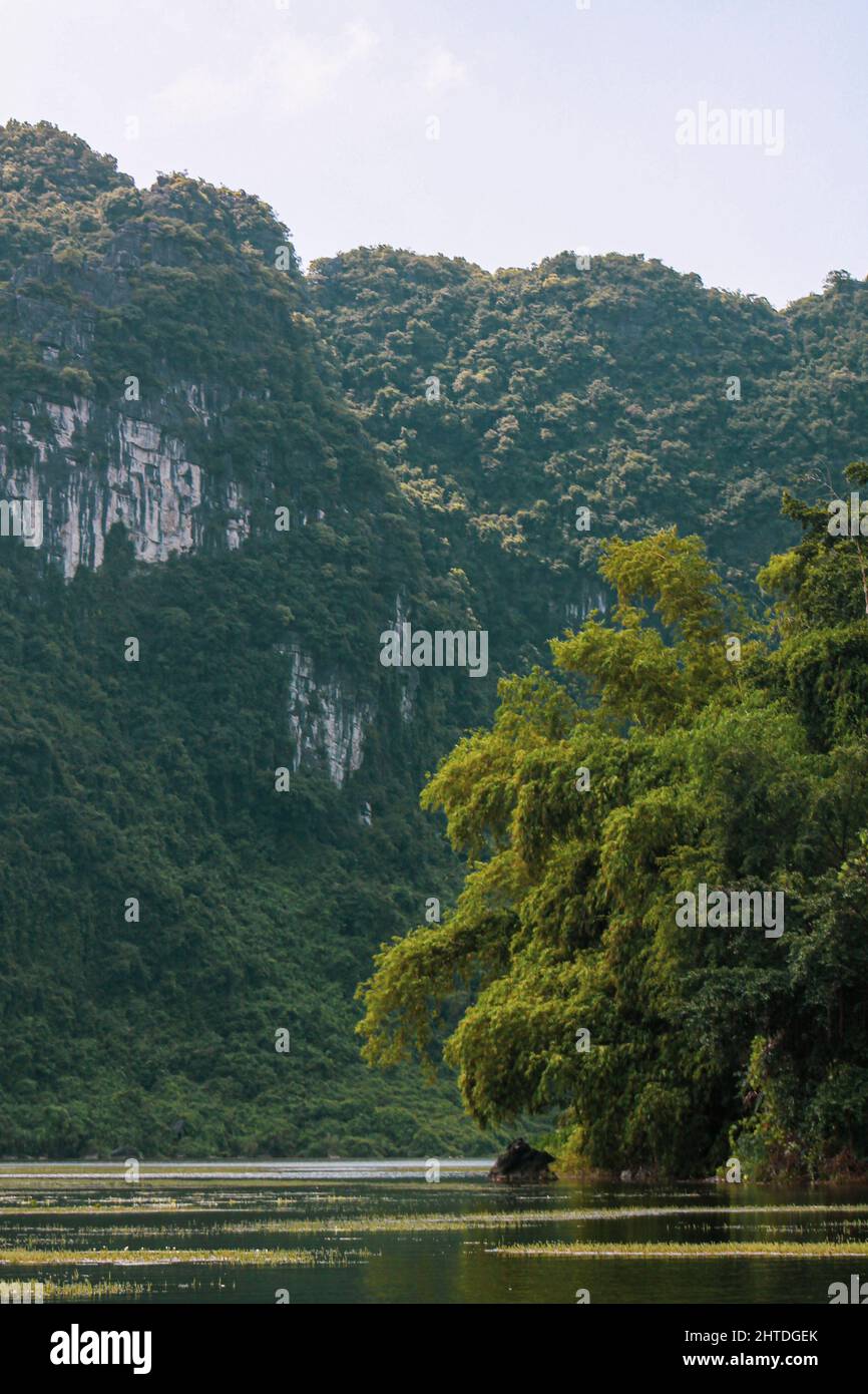 Mesmerizing view of trees with mountain and river Stock Photo - Alamy