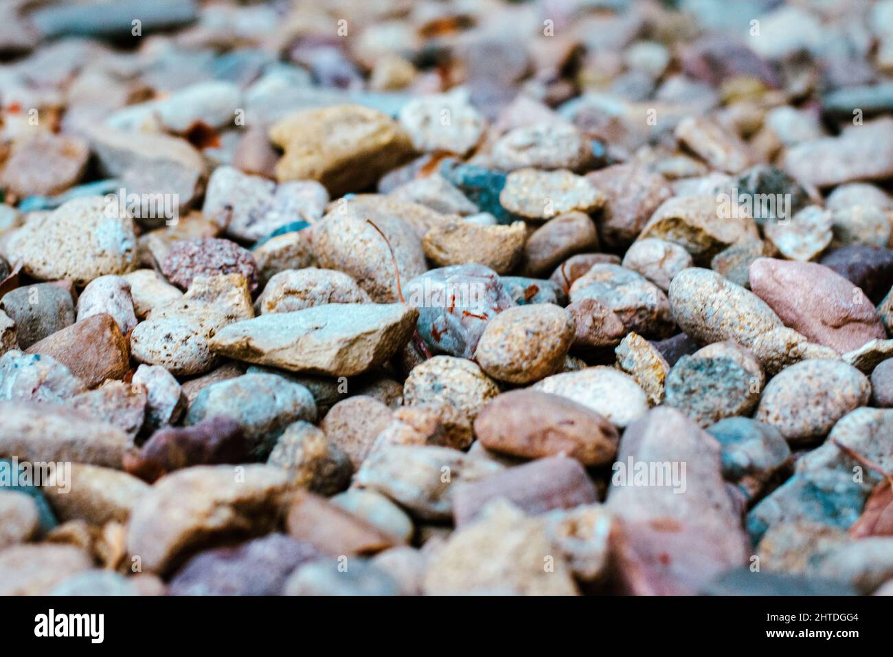 Close-up selective focus shot of a colorful gravels, pebble rocks Stock ...
