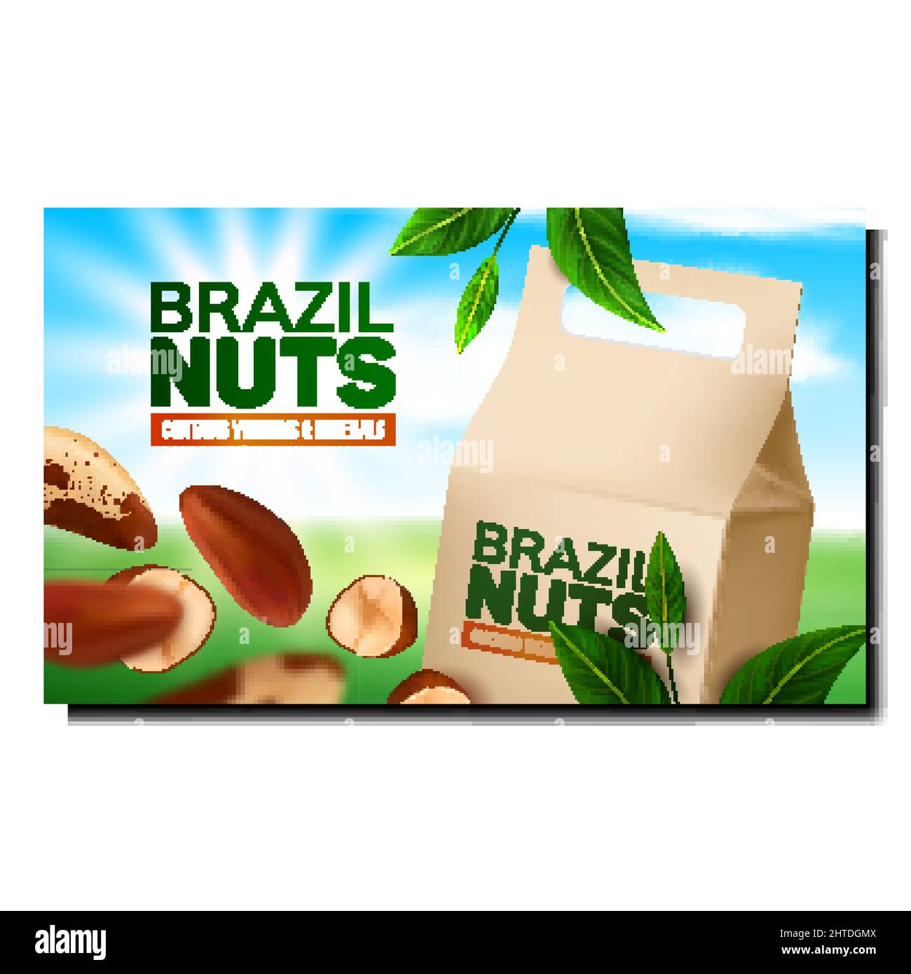 Brazil Nuts Creative Promotional Banner Vector Stock Vector Image & Art ...