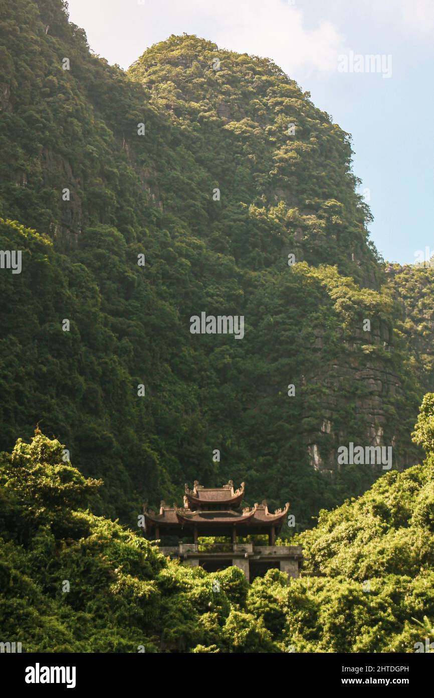 Japanese-style building hidden in the green forest in spring Stock ...