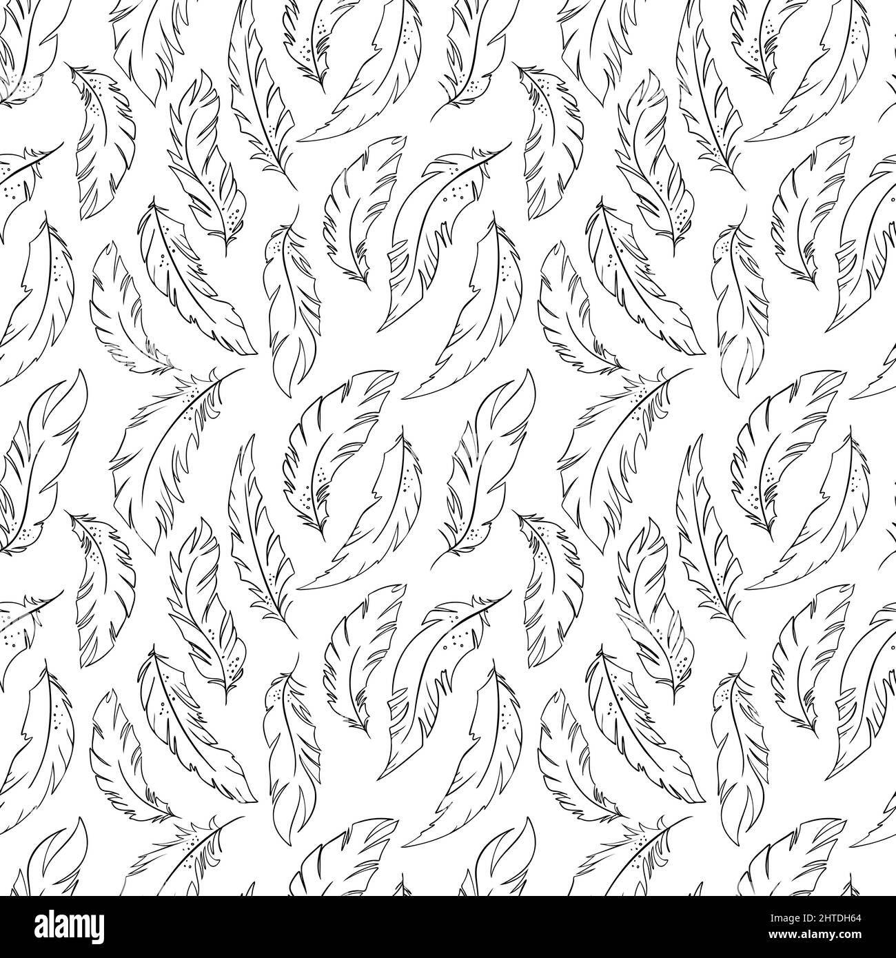 Feather of birds. Black and white feather silhouette hand drawn Stock ...