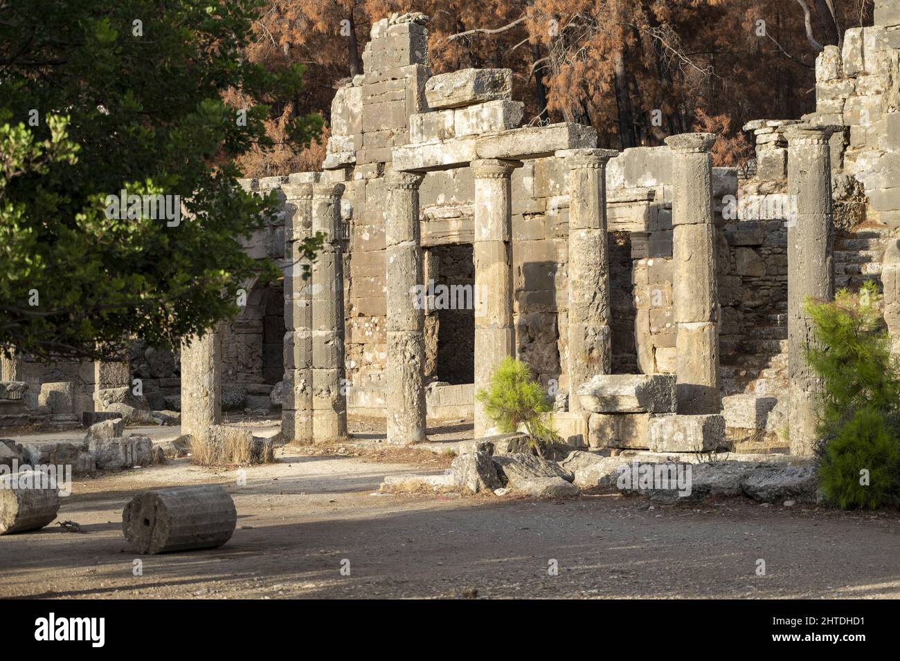 Sunlit view of walls and columns burned during the big Manavgat Fire in ...