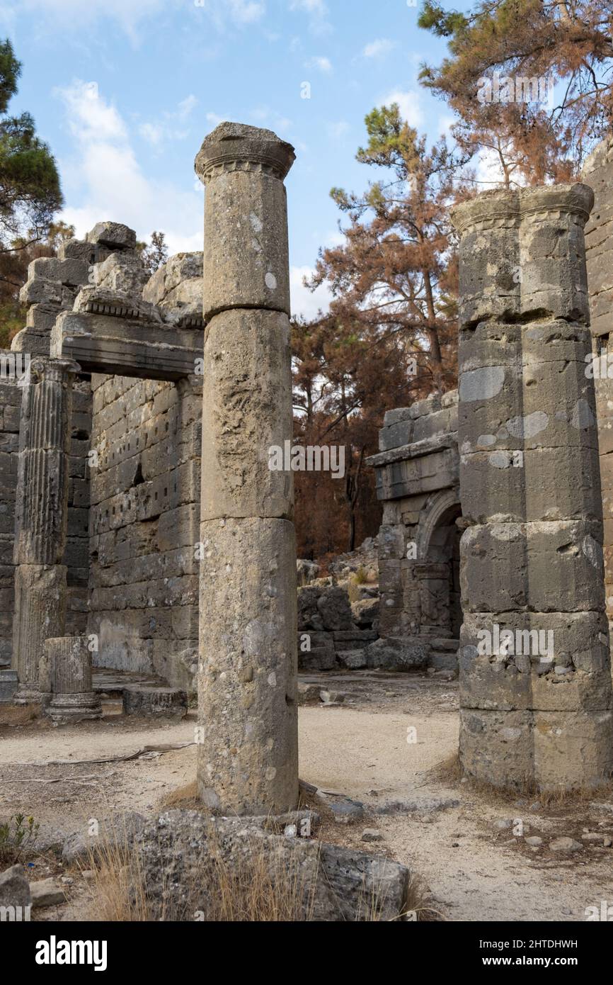 Vertical sunlit view of columns burned during the big Manavgat Fire in ...