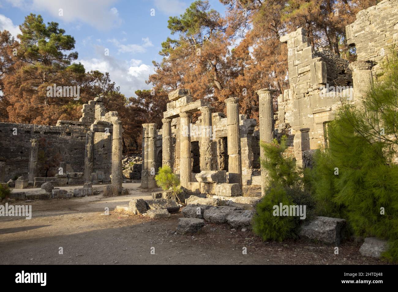 Sunlit view of walls and columns burned during the big Manavgat Fire in ...
