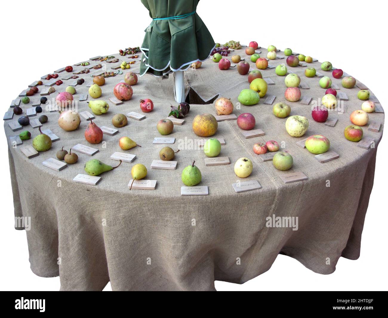Fruits collection on the table Stock Photo - Alamy