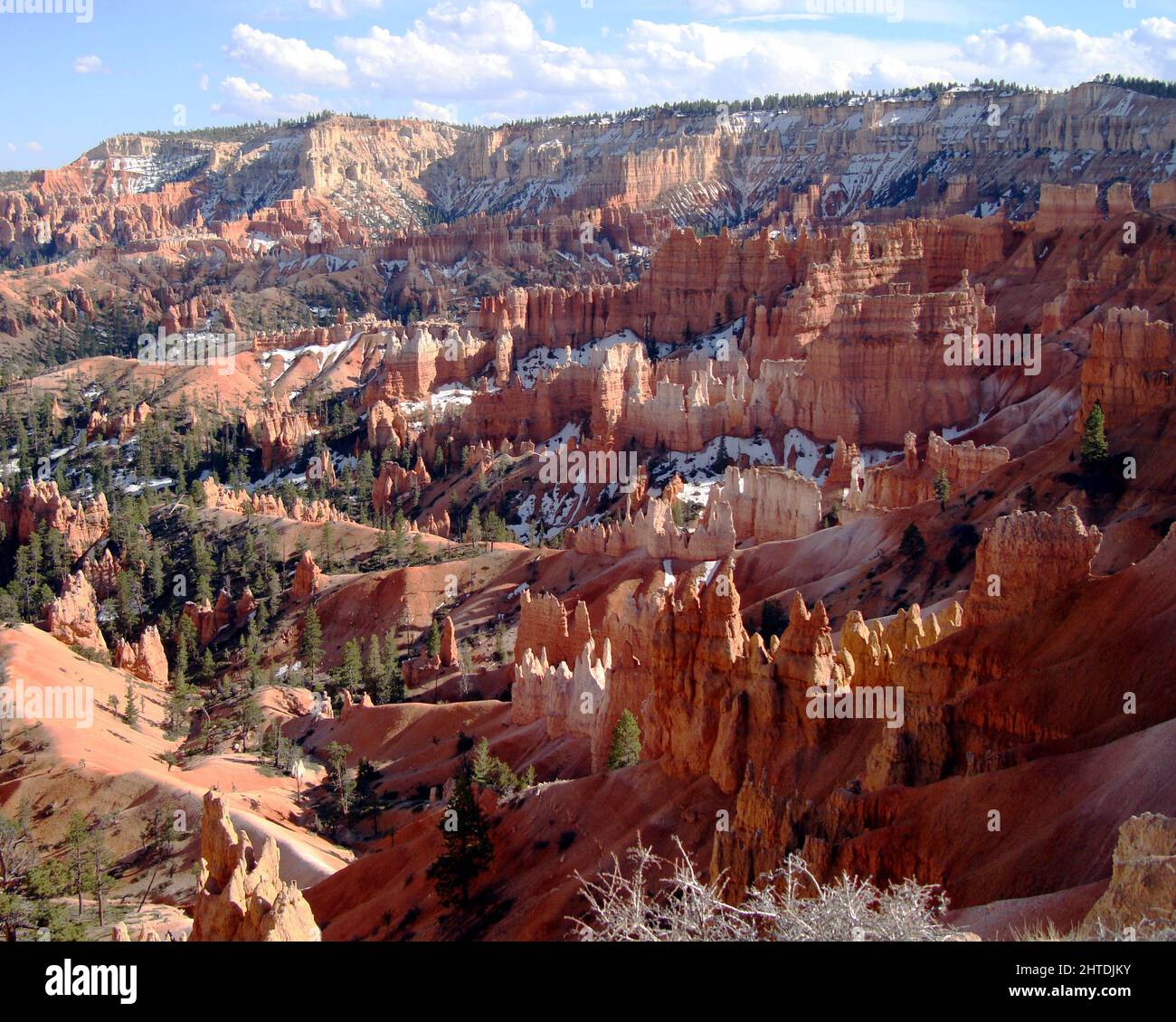 Rocky mountains covered with green pine trees in Bryce Canyon National ...