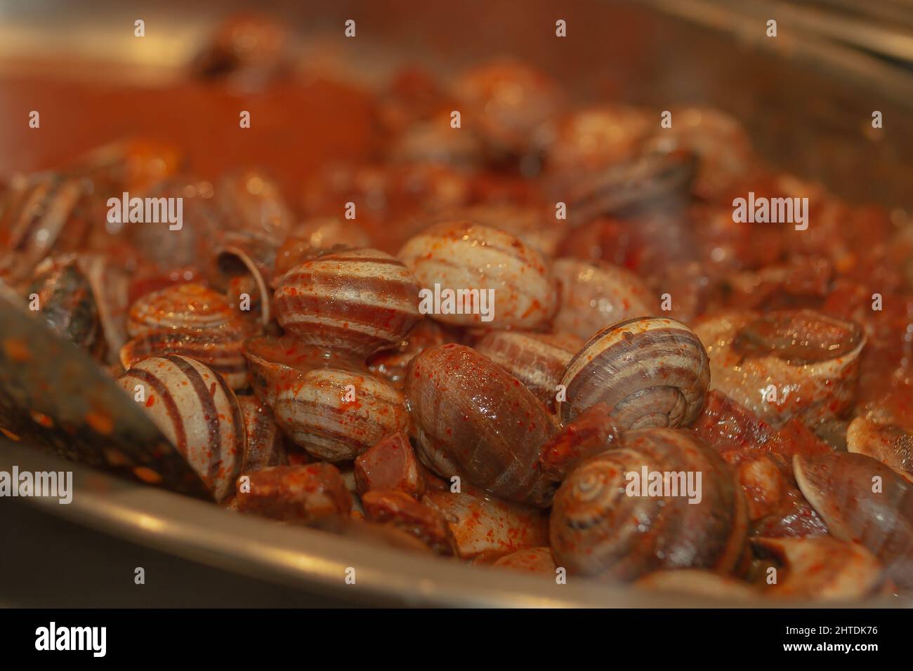 Snails in tomato sauce, typical Spanish food Stock Photo - Alamy