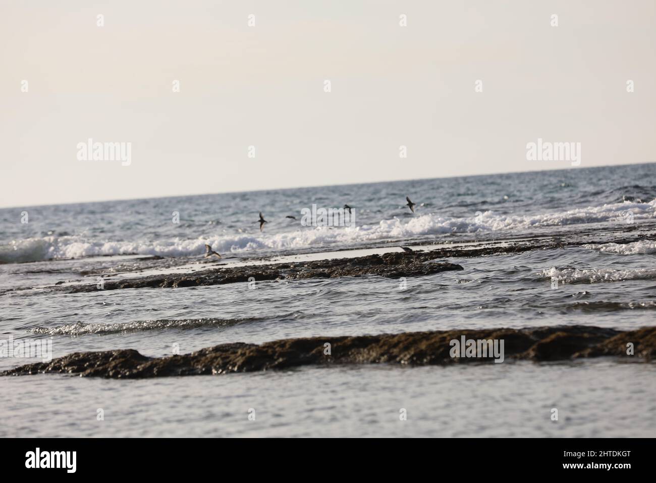 low waves on the shore of a beach High quality Stock Photo - Alamy