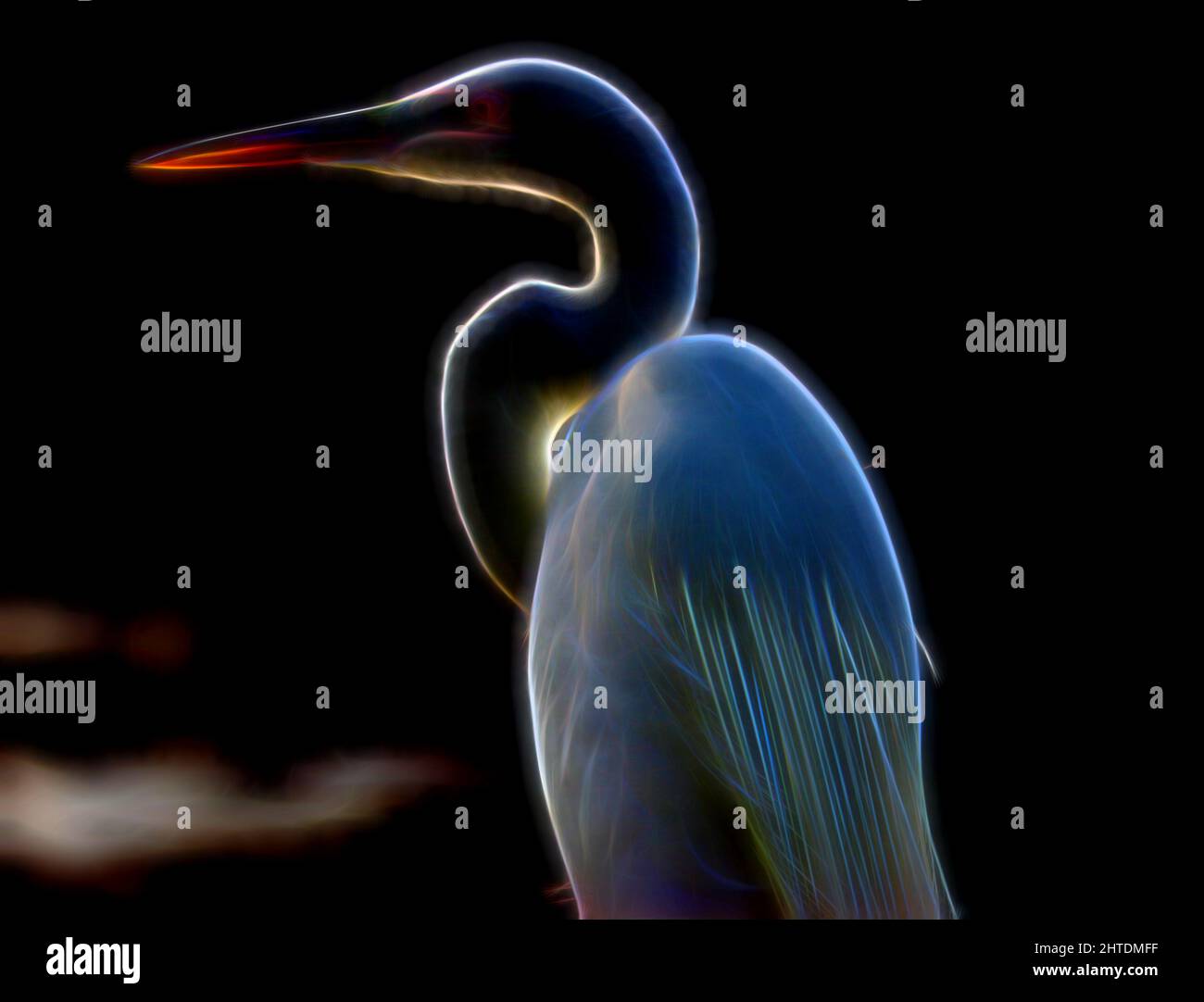 Illustration of a swan with neon lights Stock Photo - Alamy