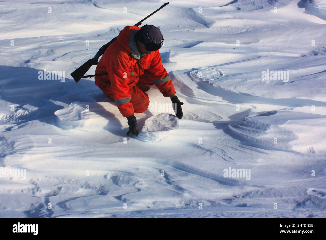 View of hunter at a track of a polar bear Stock Photo - Alamy