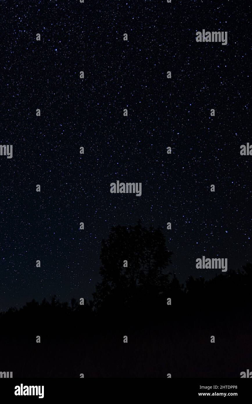 Nature of Door County, Wisconsin, the USA under a starry night sky ...