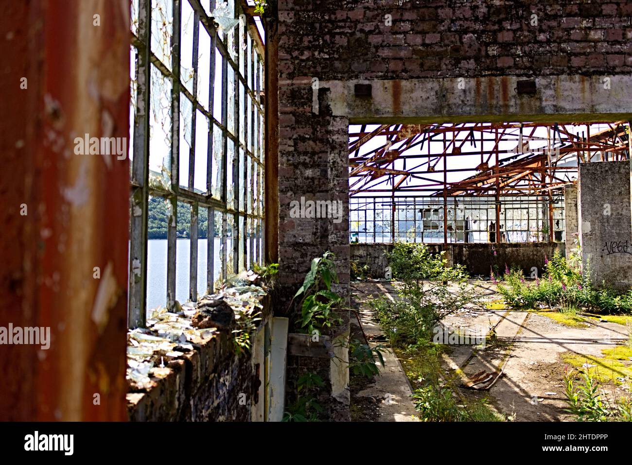 Abandoned building with growing plants in Scotland, the UK Stock Photo ...