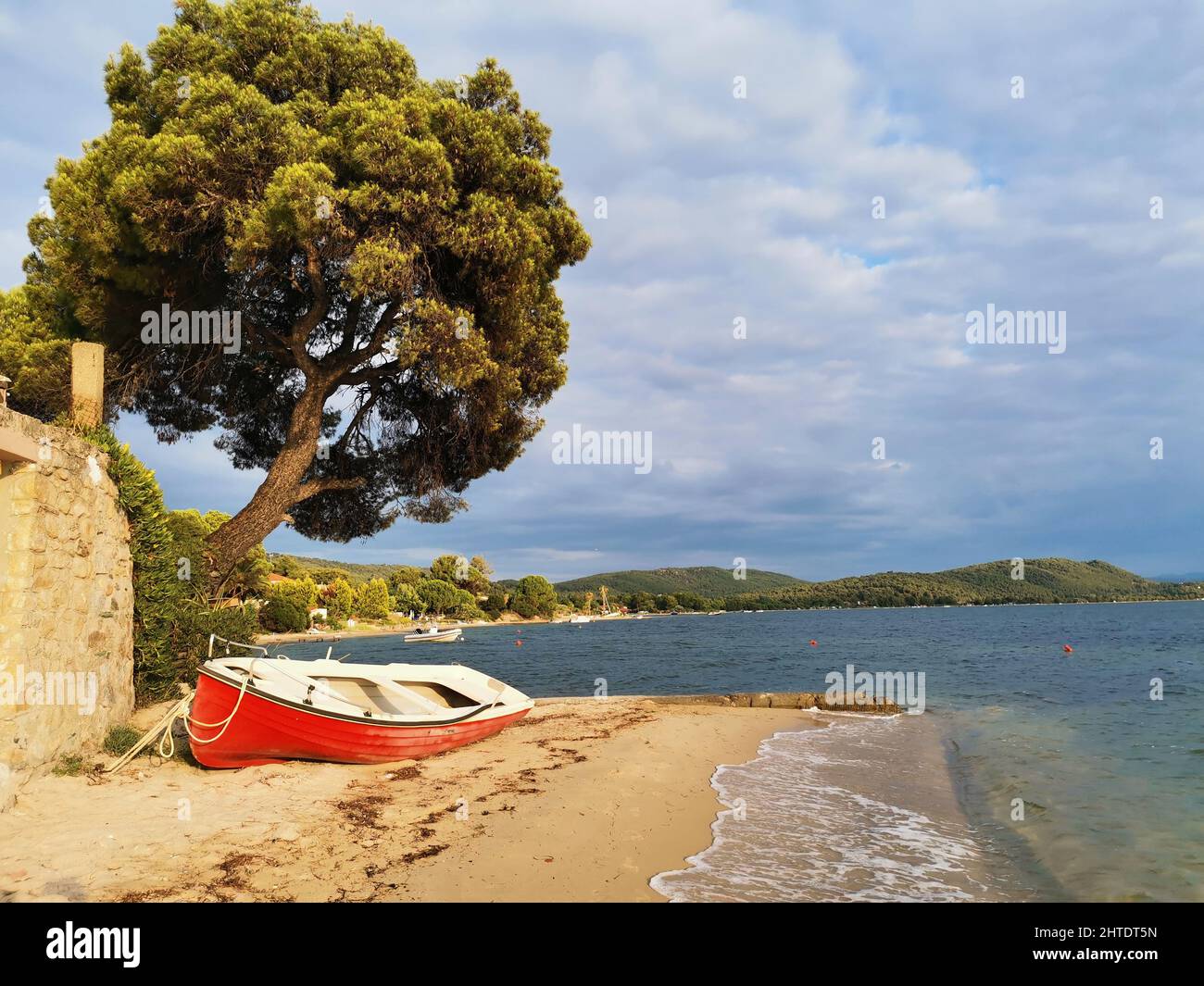 Photo of a boat and a tree on a coast Stock Photo - Alamy