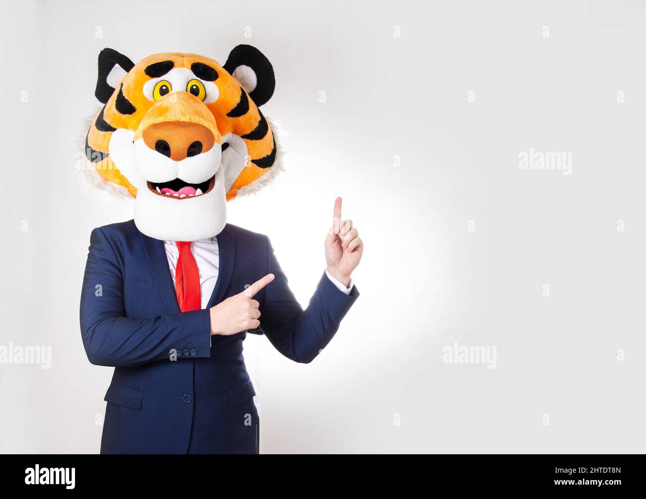 Tiger points hi-res stock photography and images - Alamy