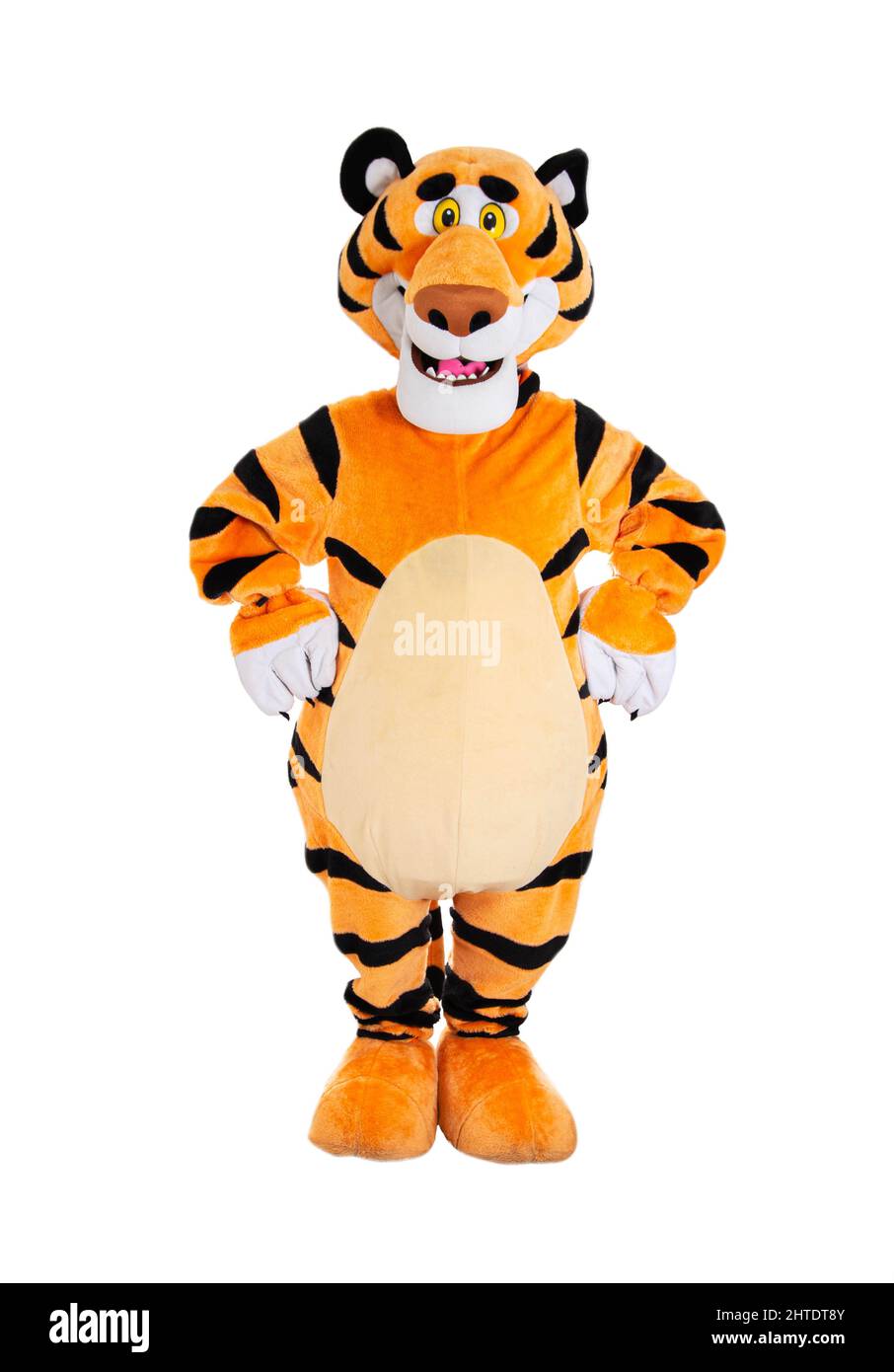 Man in a striped orange tiger costume posing on a white background ...