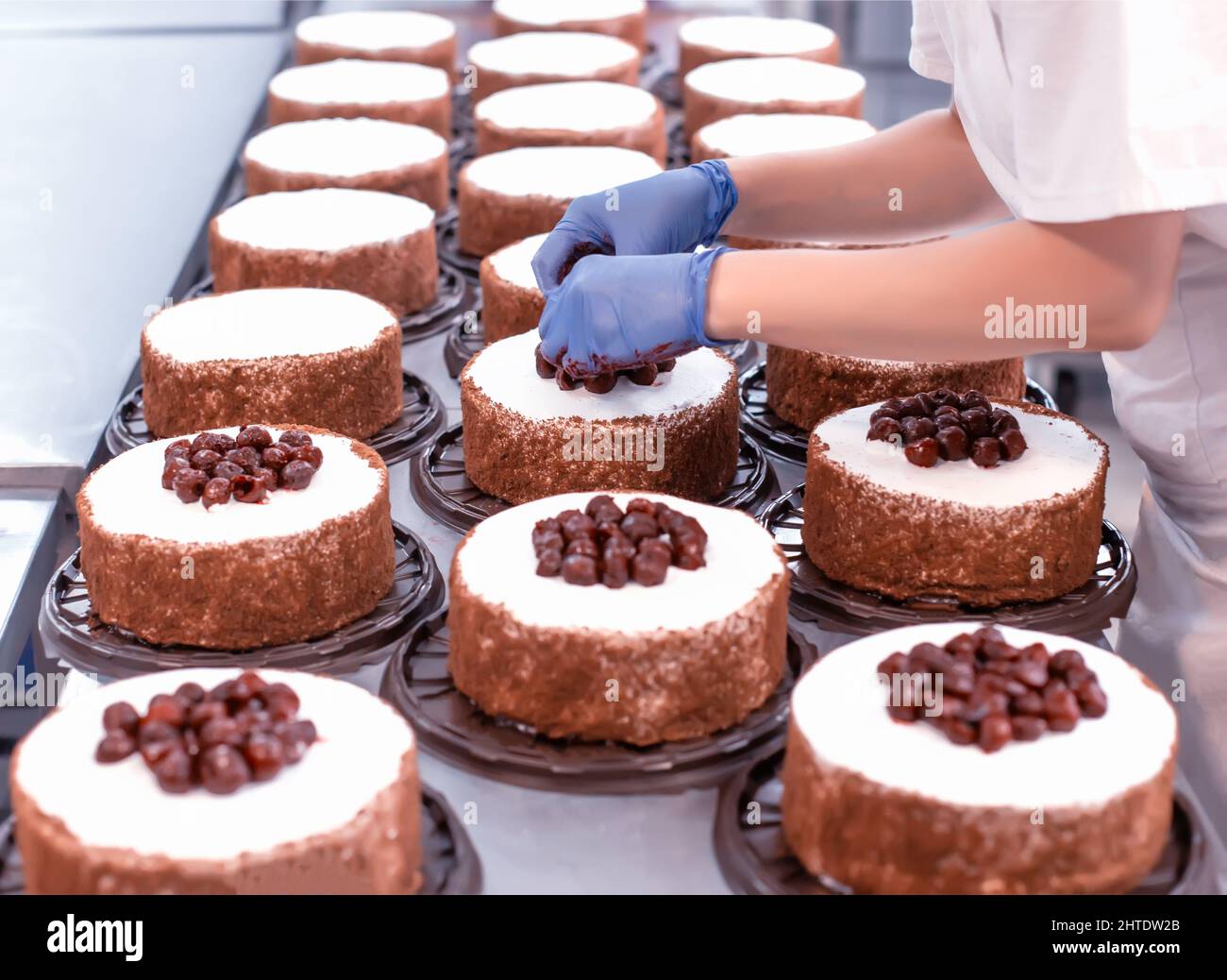 Pastry chef girl makes a cake from fresh biscuit berries and cream ...