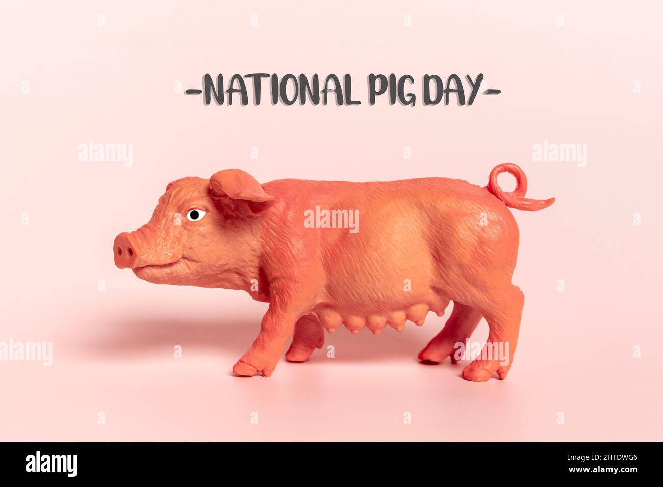 March 01, National Pig Day, celebrated annually on March 1st, is ...
