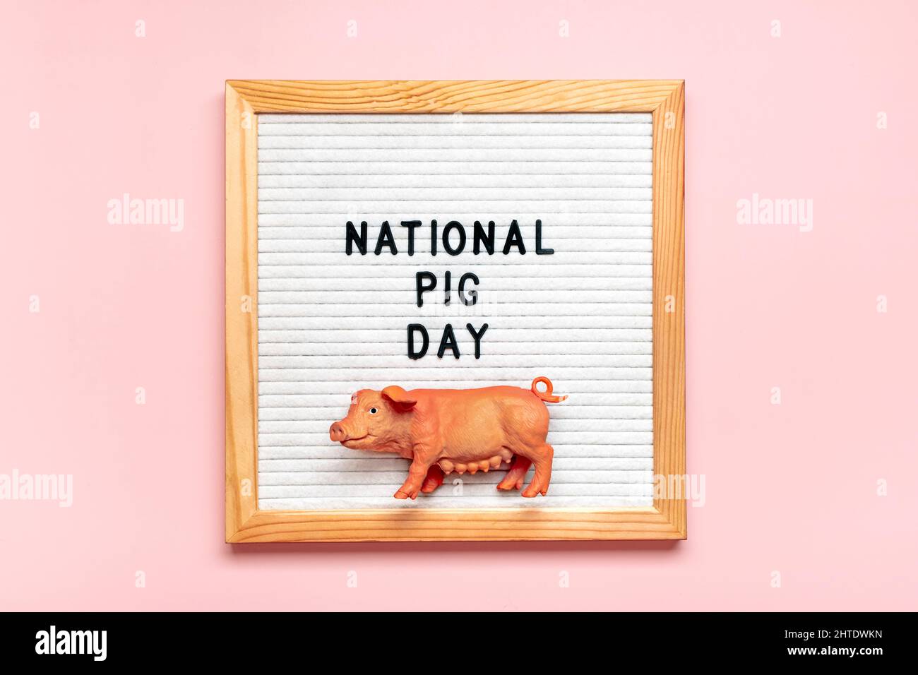 March 01, National Pig Day, celebrated annually on March 1st, is ...