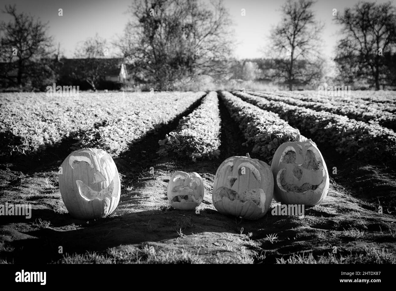 Grayscale patch hi-res stock photography and images - Alamy