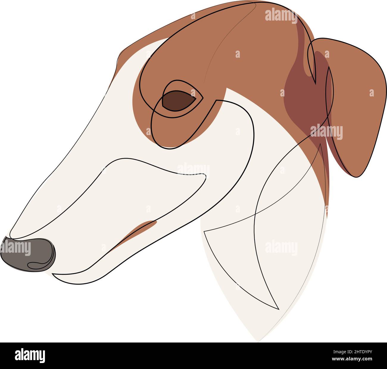 English greyhound dog hi-res stock photography and images - Alamy