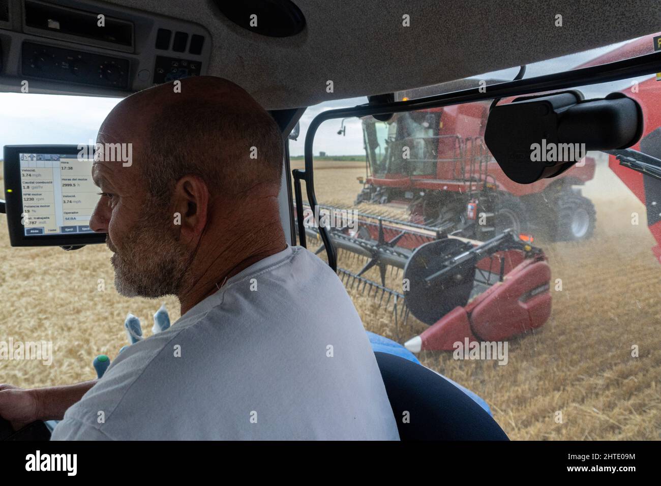 Farmer in an agricultural harvester machine harvesting on the wheat ...