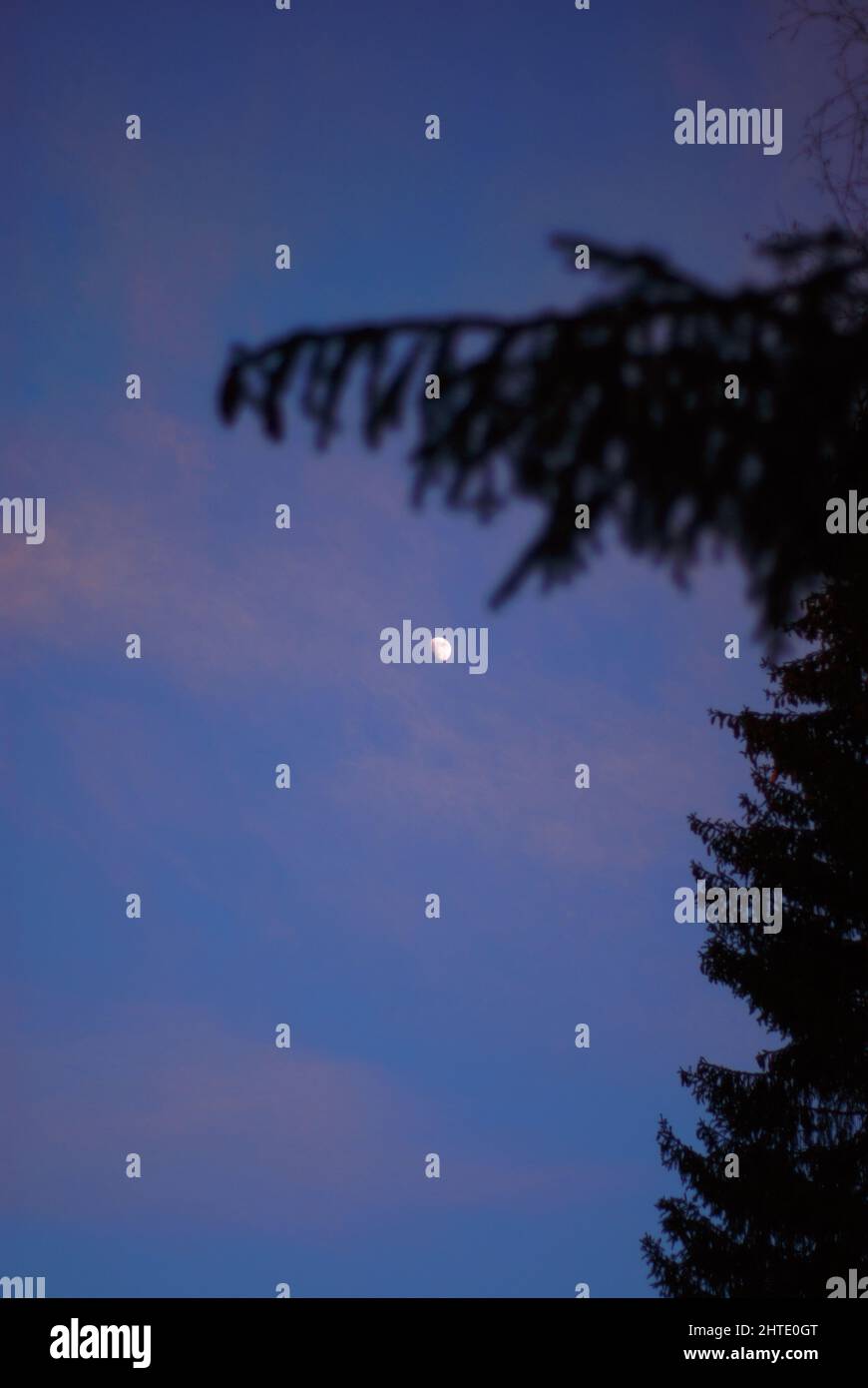 Bright stars and blue sky and moon hi-res stock photography and images ...