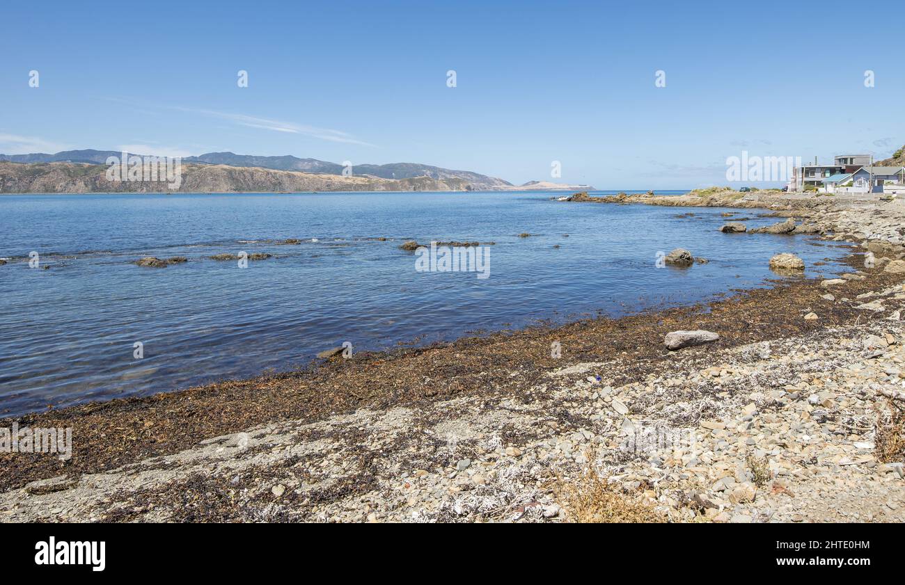 Wellingtons south coast hi-res stock photography and images - Alamy