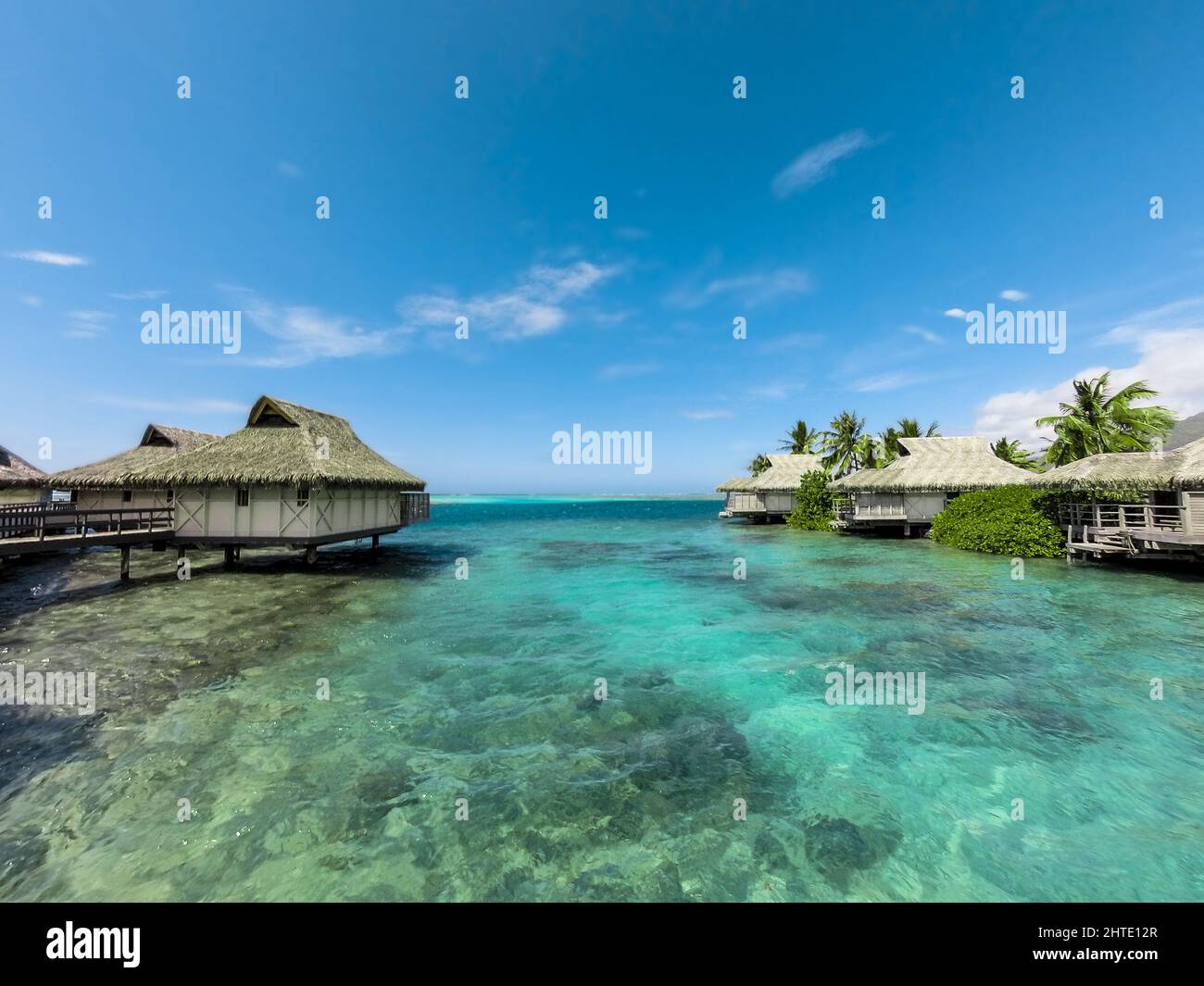 Stilts houses in Dolphin center in Moorea Island Stock Photo - Alamy