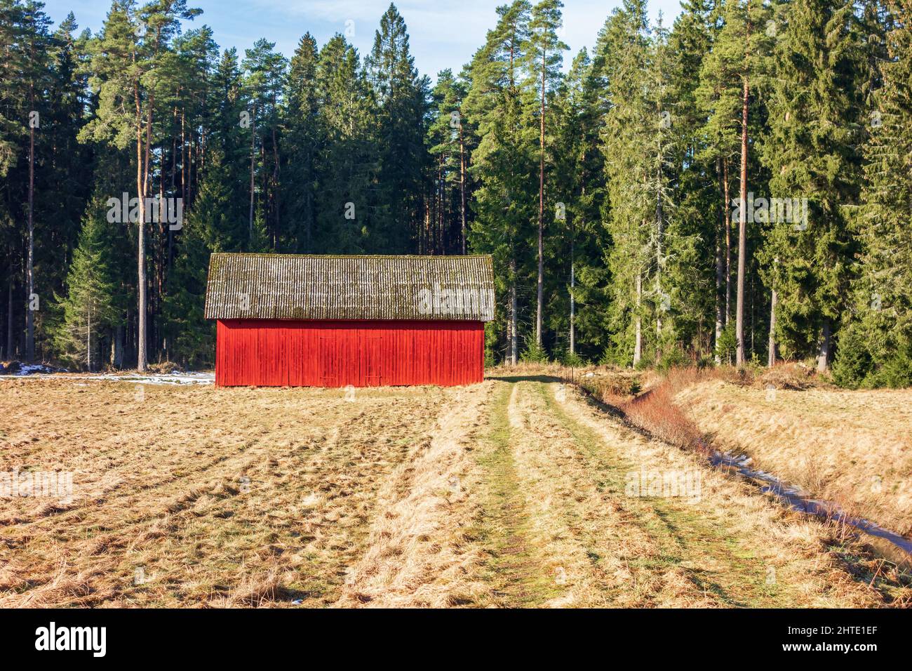 Red shed on a field by the forest Stock Photo - Alamy