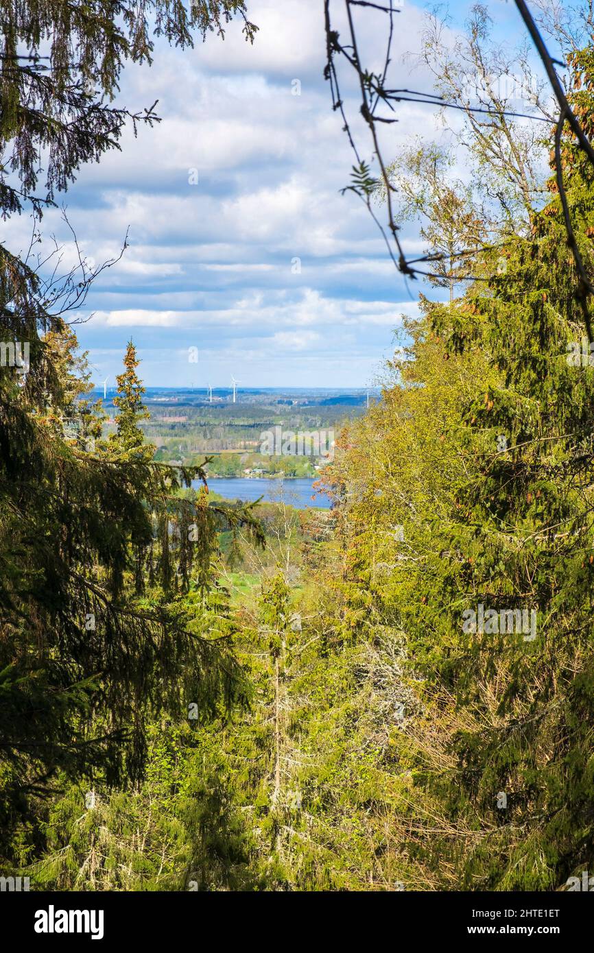 View through the trees on a landscape Stock Photo - Alamy