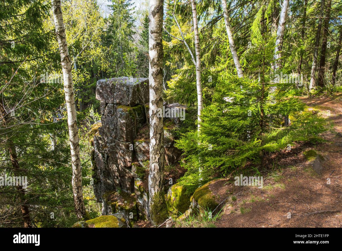 Rock pillar formation in lush hi-res stock photography and images - Alamy