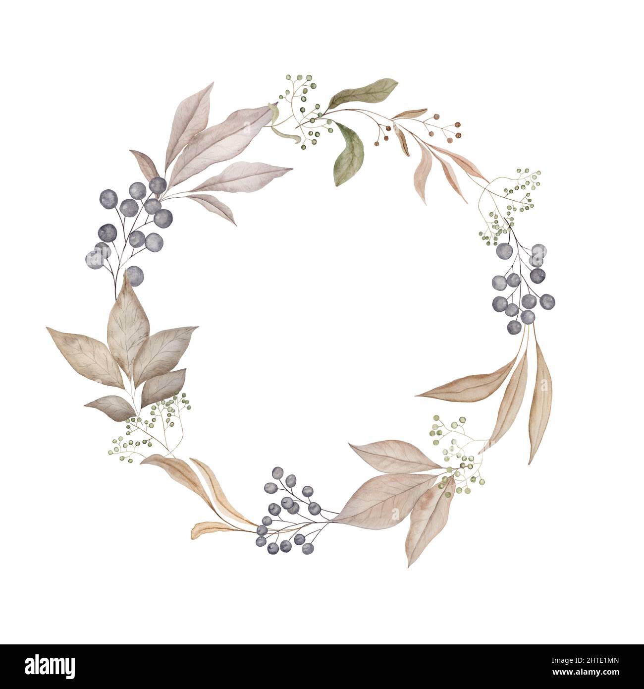 Painted watercolor delicate and romantic leaves and berries. Pastel ...