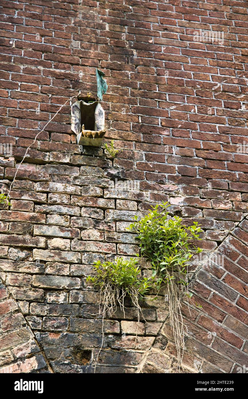 Morgan building hi-res stock photography and images - Alamy