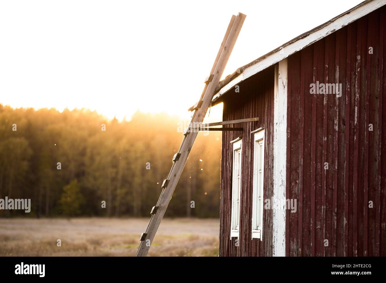 Wooden stairs leaned on a red house in sunlight on the blurry ...