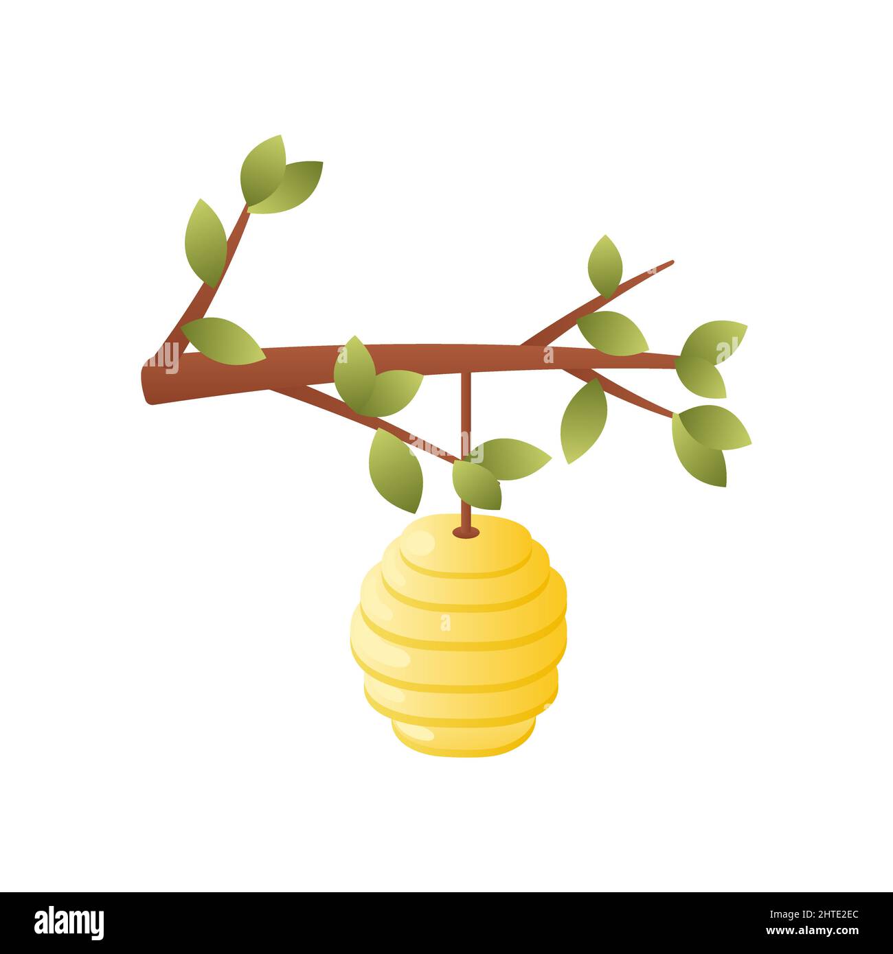 honey beehive and tree branch cartoon vector illustration isolated ... honey beehive and tree branch cartoon vector illustration isolated ...