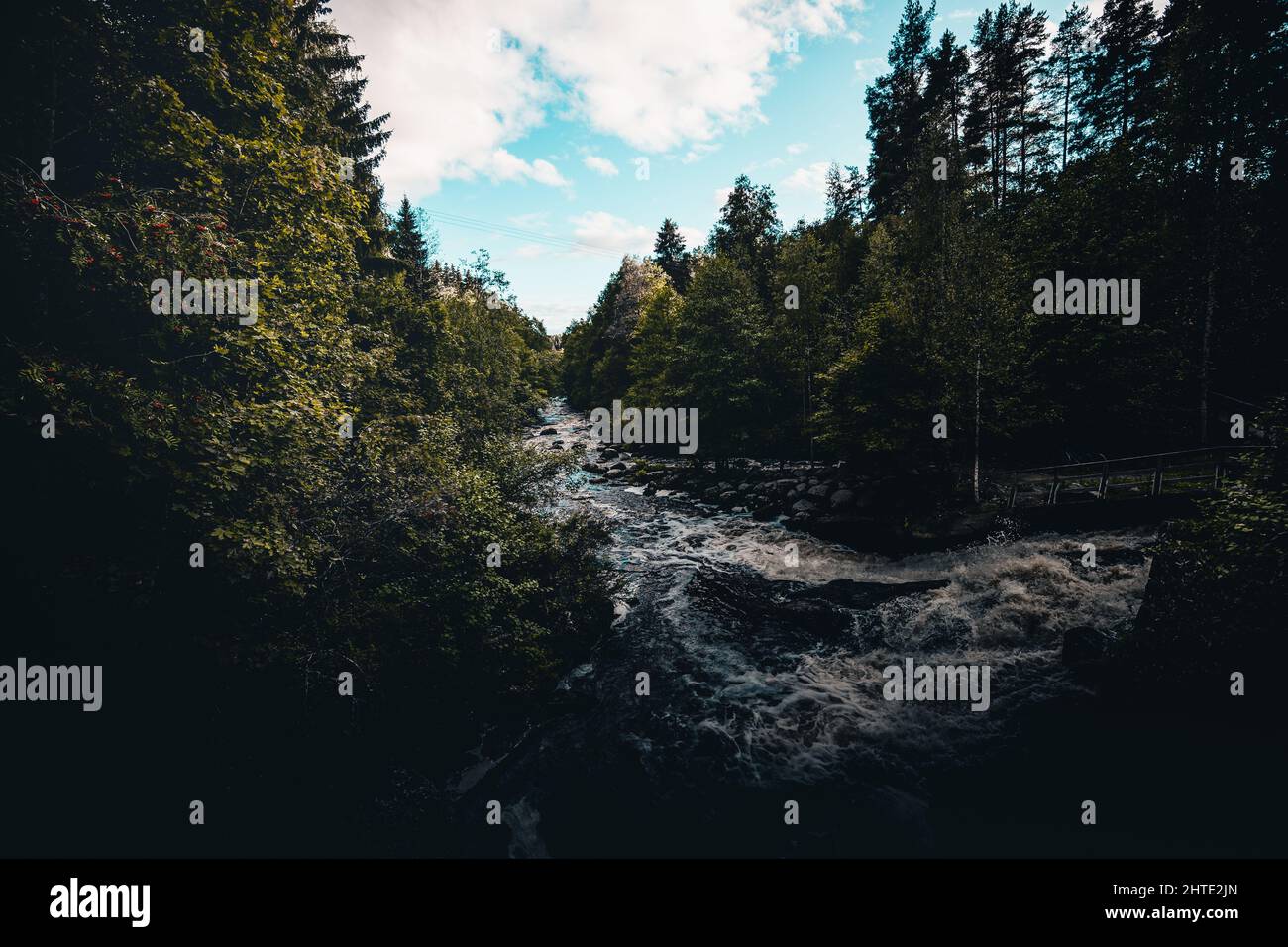 Scenic view of a river flowing through rocks surrounded by greenery ...