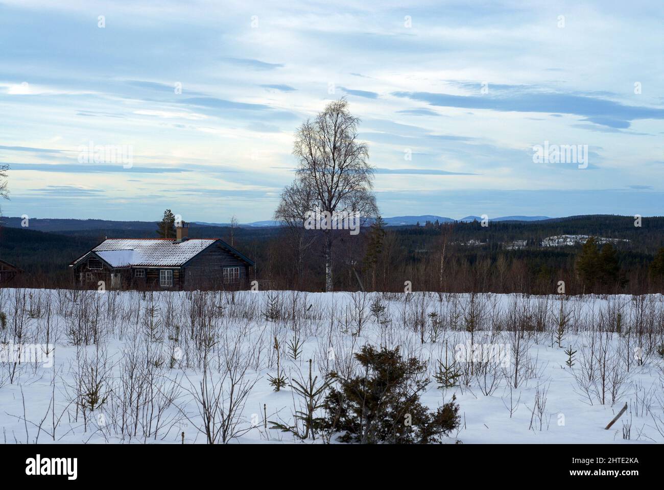 Nice house hi-res stock photography and images - Alamy