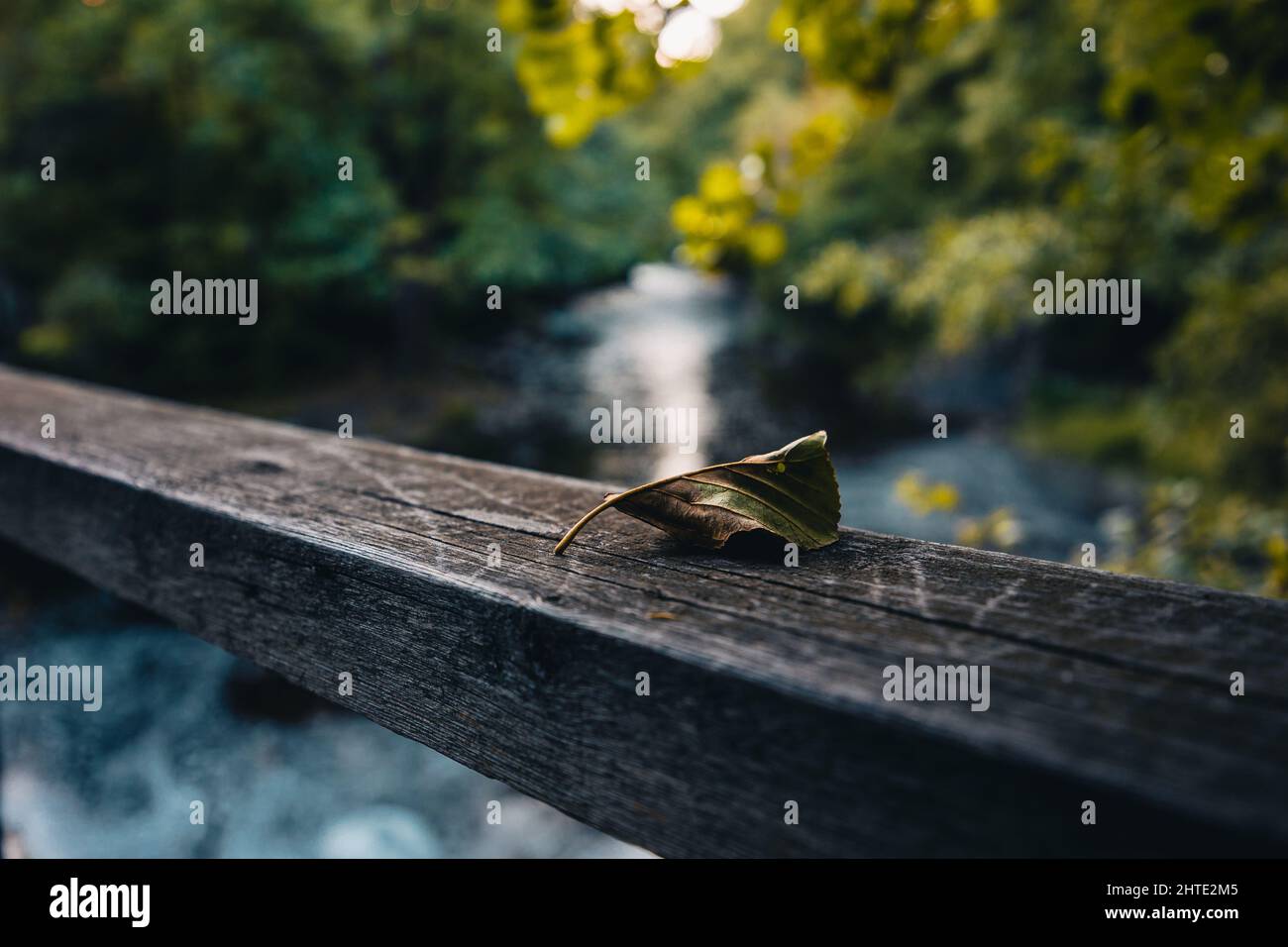 Dry leaf on the wooden railing of a bridge over the river Stock Photo - Alamy
