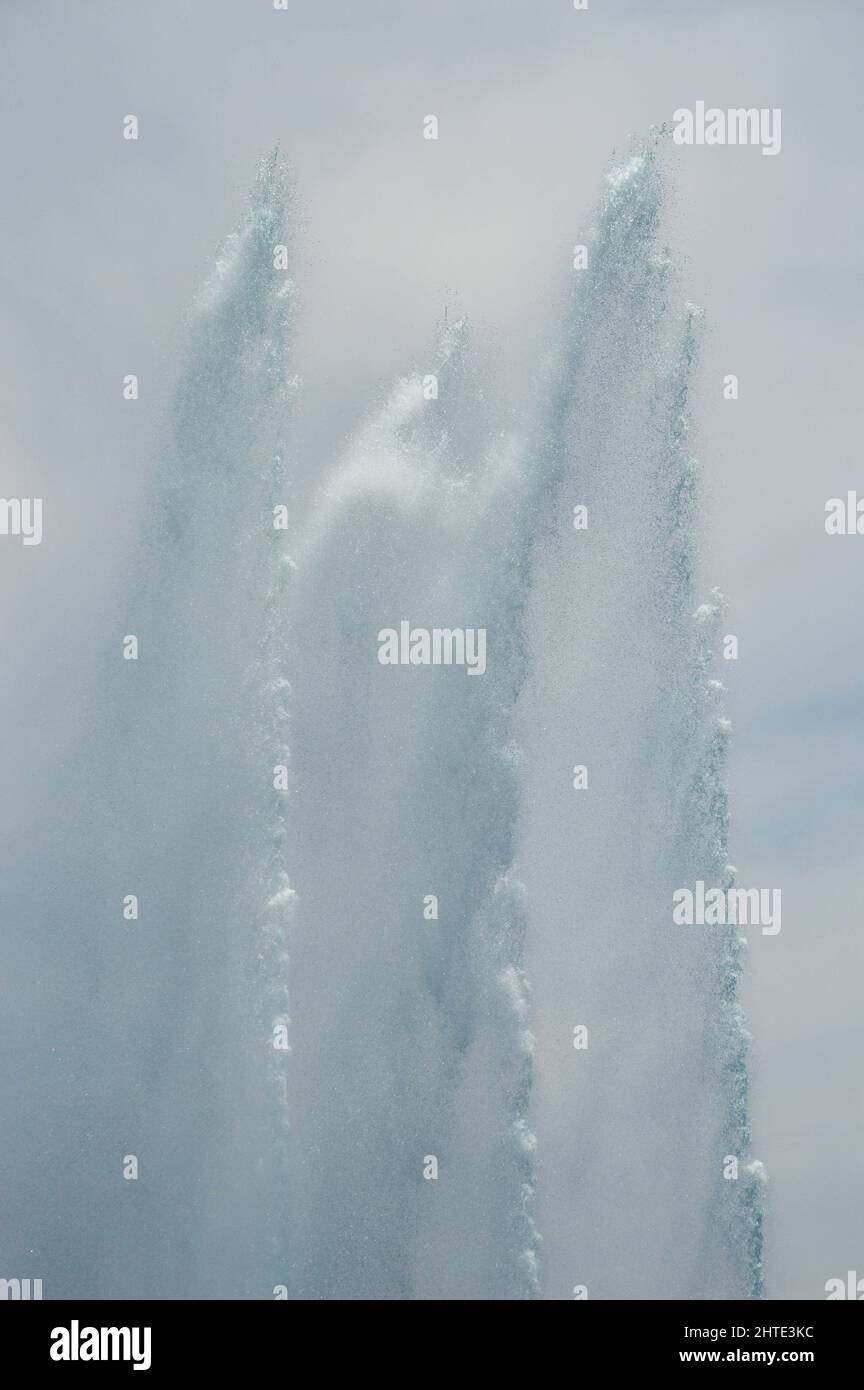 Beautiful view of water sprays from a fountain in Echo Park Lake in Los ...