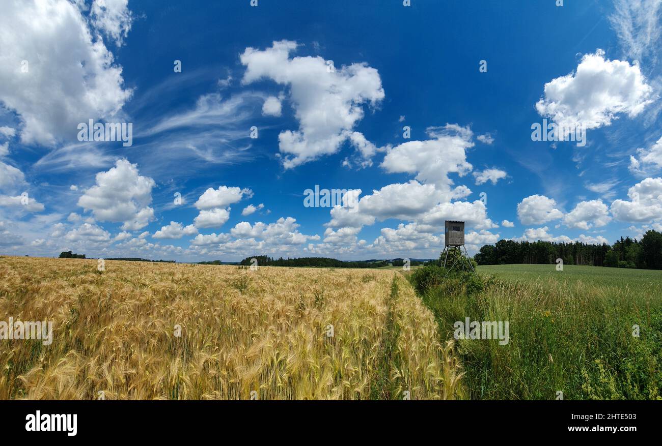 Large agricultural field under a bright cloudy sky Stock Photo - Alamy
