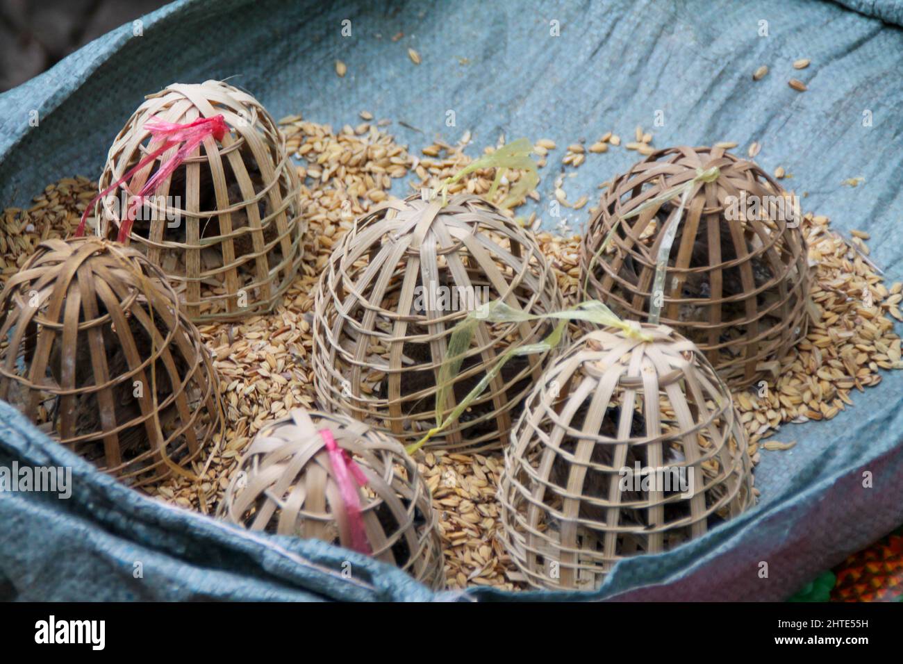Bamboo cages hi-res stock photography and images - Alamy