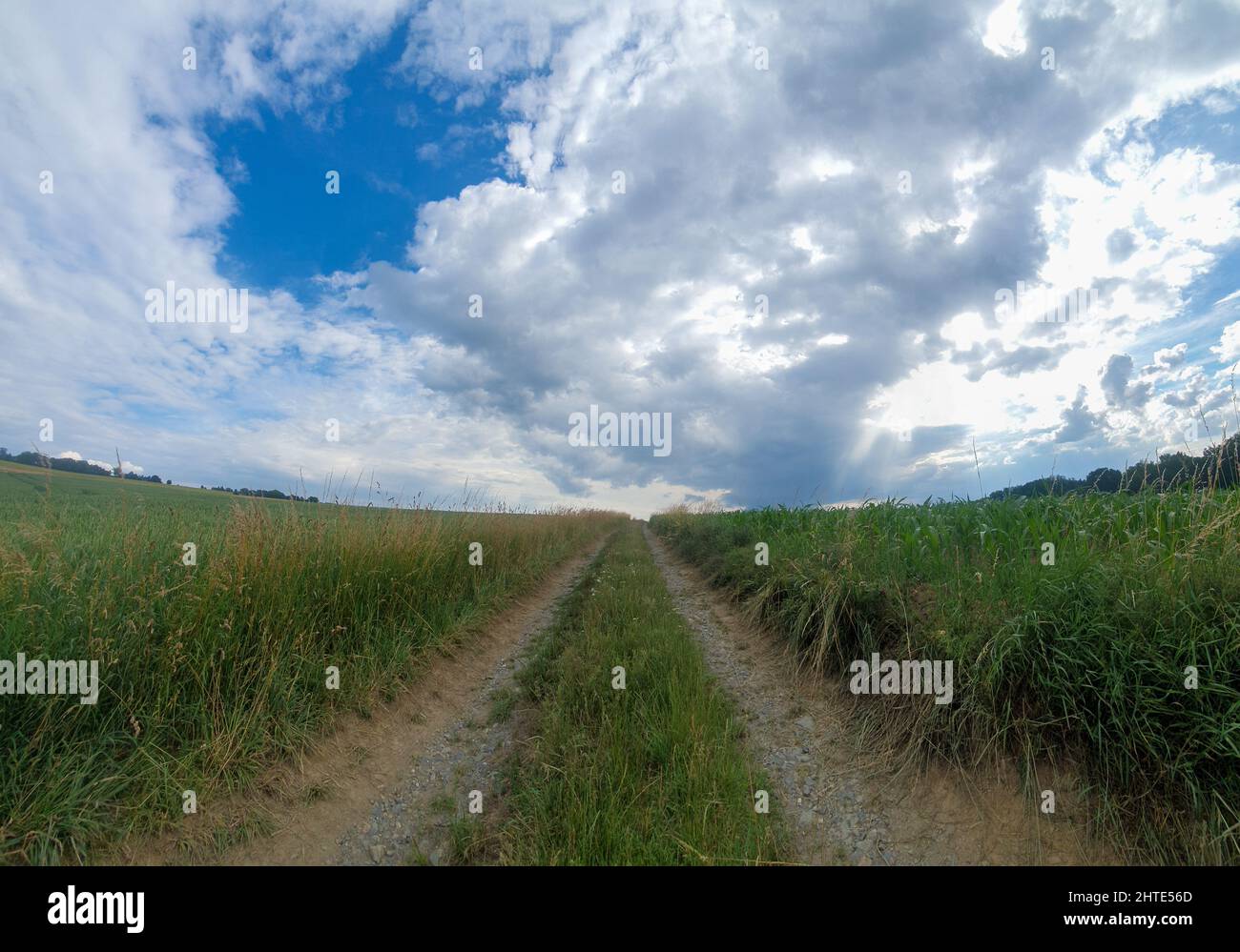 Trail through an agricultural field under a bright sky Stock Photo - Alamy