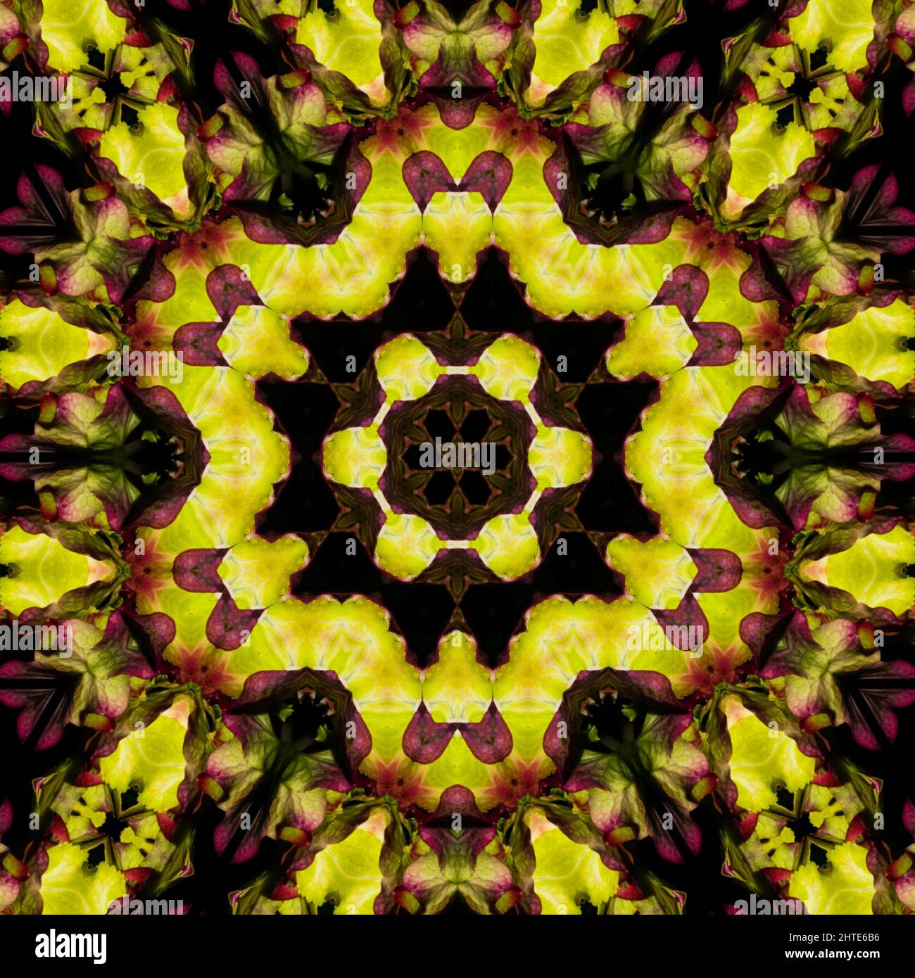 Abstract Computer generated Fractal design. A fractal is a never-ending ...