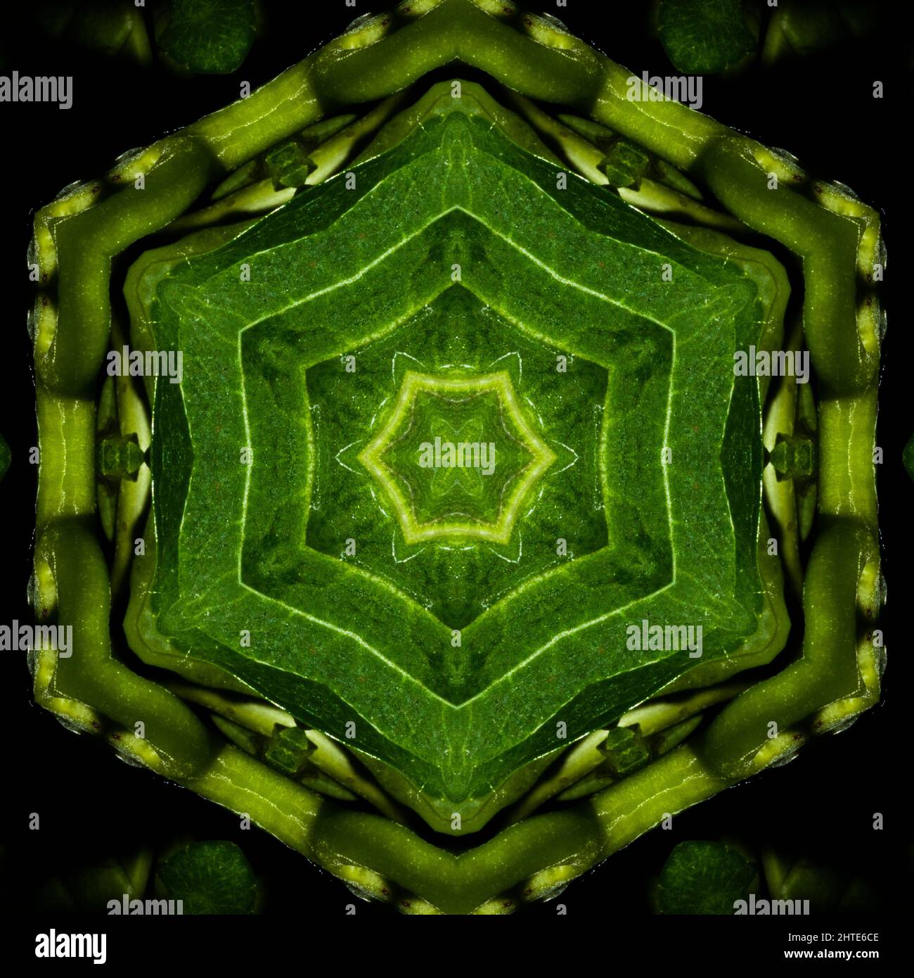 Abstract Computer generated Fractal design. A fractal is a never-ending ...